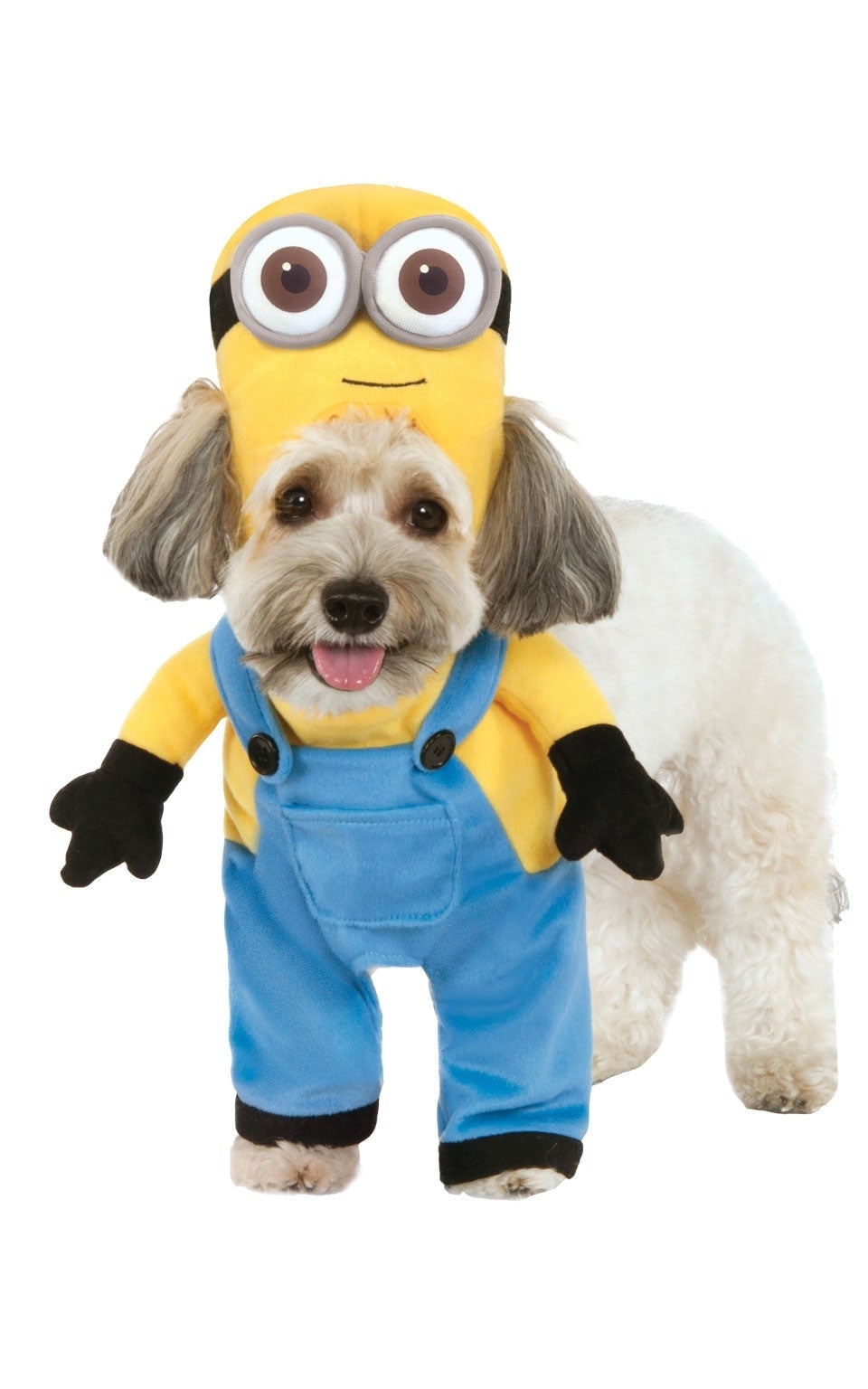 Minion Bob Arms Pet Costume – Mad Distribution Costumes Australia