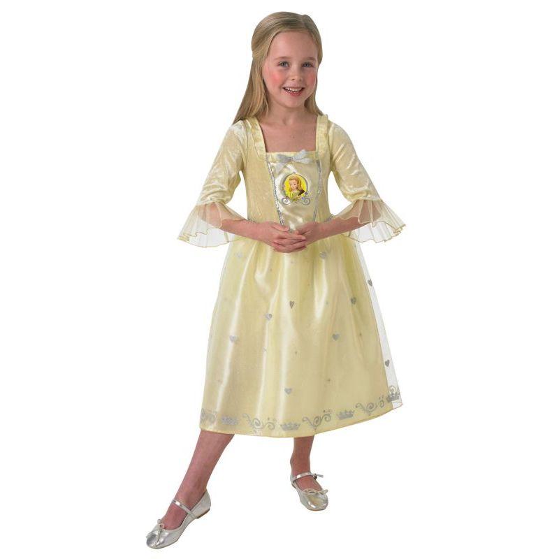 Princess Amber Girls Disney Costume – Mad Distribution Costumes Australia