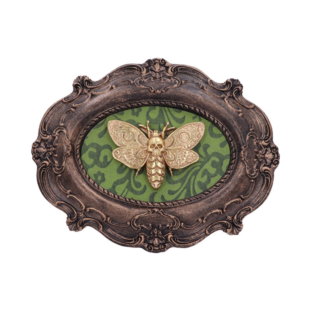 Moth Macabre Baroque Framed Deaths Head Wall Plaque 22.3cm – Mad ...